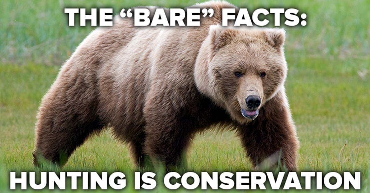 Bear Hunter Memes