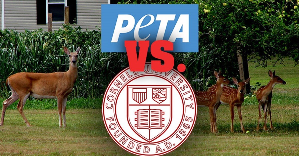 NRA Hunters' Leadership Forum | PETA to Cornell University: Deer over ...
