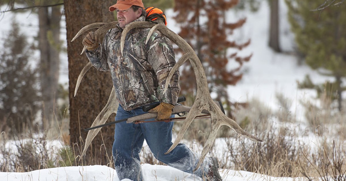 NRA Hunters' Leadership Forum | The Long History of Nonresident Hunting ...