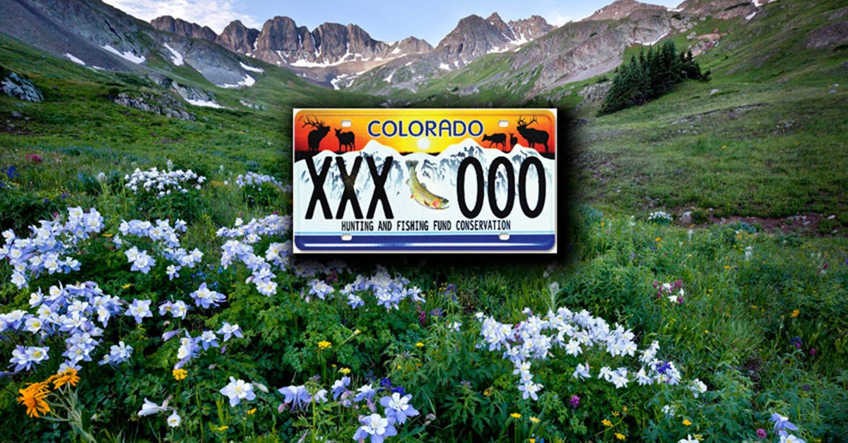 NRA Hunters' Leadership Forum | Colorado License Plate Funds Hunting ...