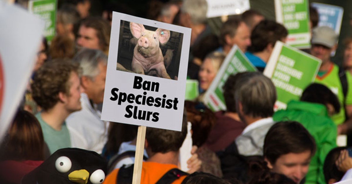 NRA Hunters' Leadership Forum | PETA Trying to Ban “Speciesist ...