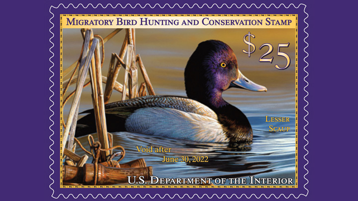The 2015 Federal Duck Stamp Art Contest: 3 Brothers, 3 Winners | NRA Family
