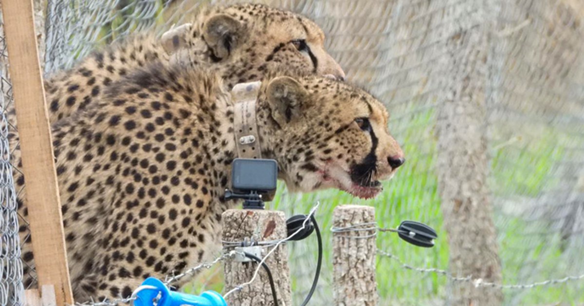 NRA Hunters' Leadership Forum | Momentous Moves: Cabela Family ...