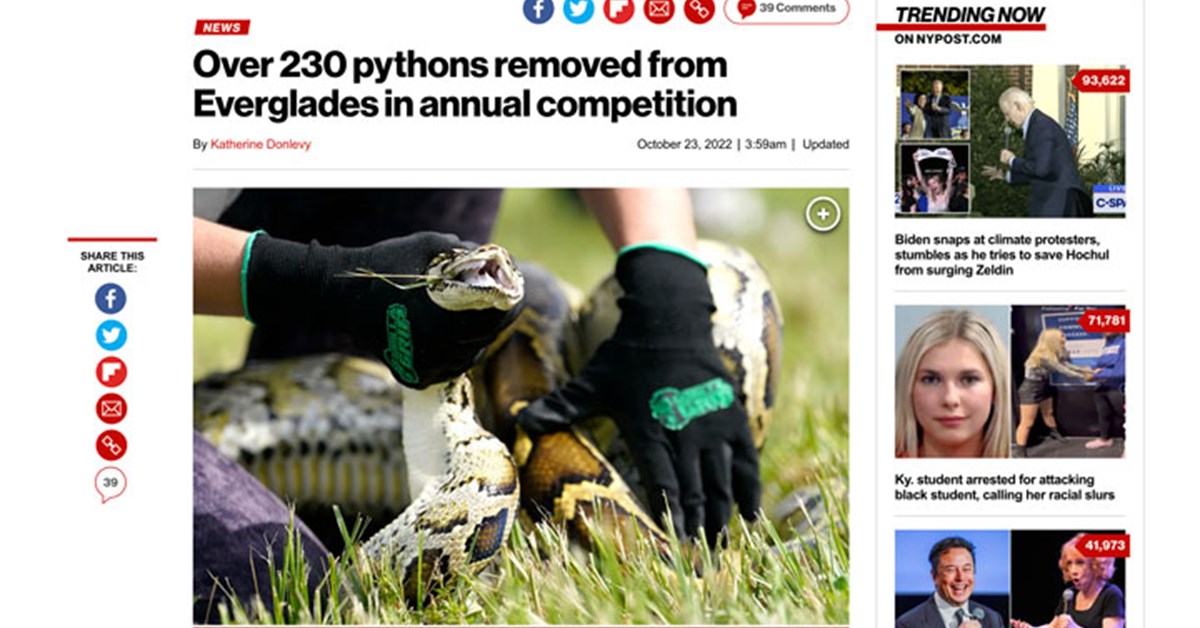 NRA Hunters' Leadership Forum | $20K Florida Python Challenge Helps to Manage the Everglades ...