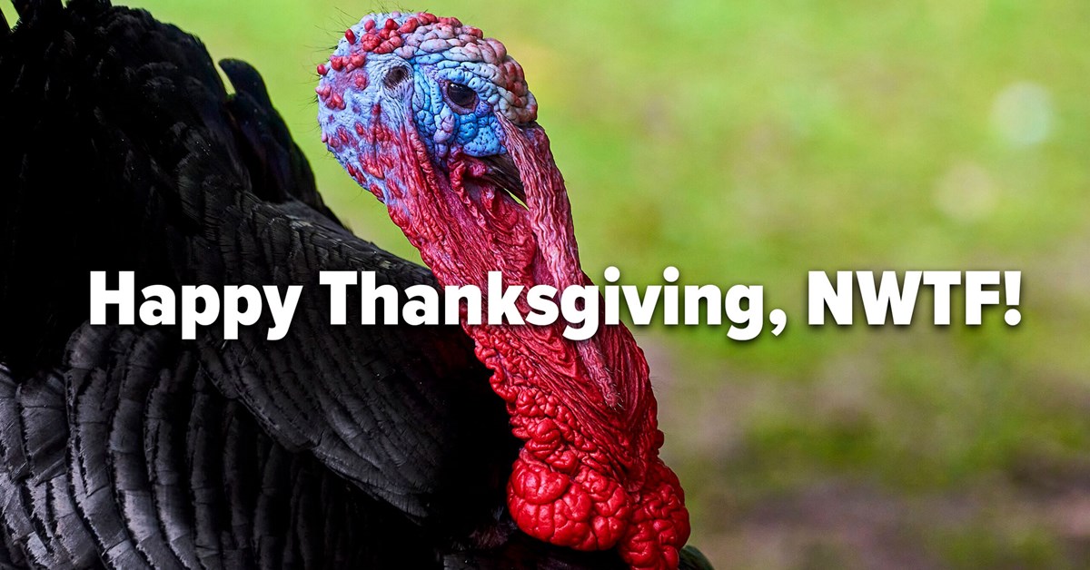 NRA Hunters' Leadership Forum | A Thanksgiving Thank You to the ...