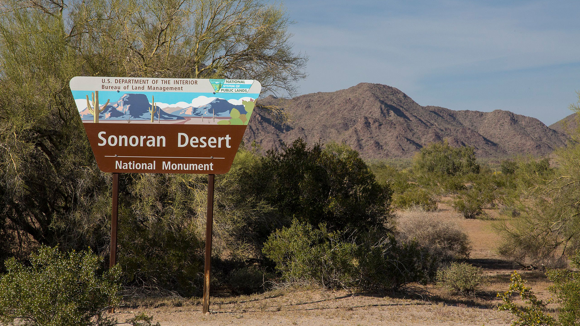 Collegiate Rifle: Ole Miss Moves Up To No. 1, TCU Grabs Second Spot In ...