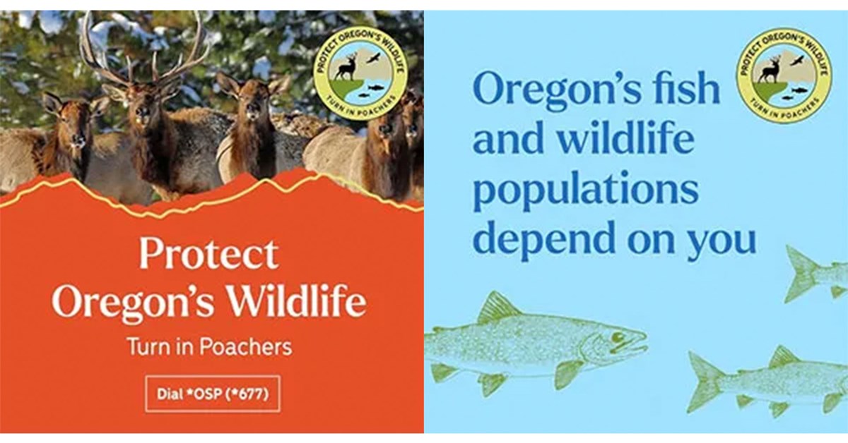 NRA Hunters' Leadership Forum | Oregon Study Results in Ad Campaign to ...