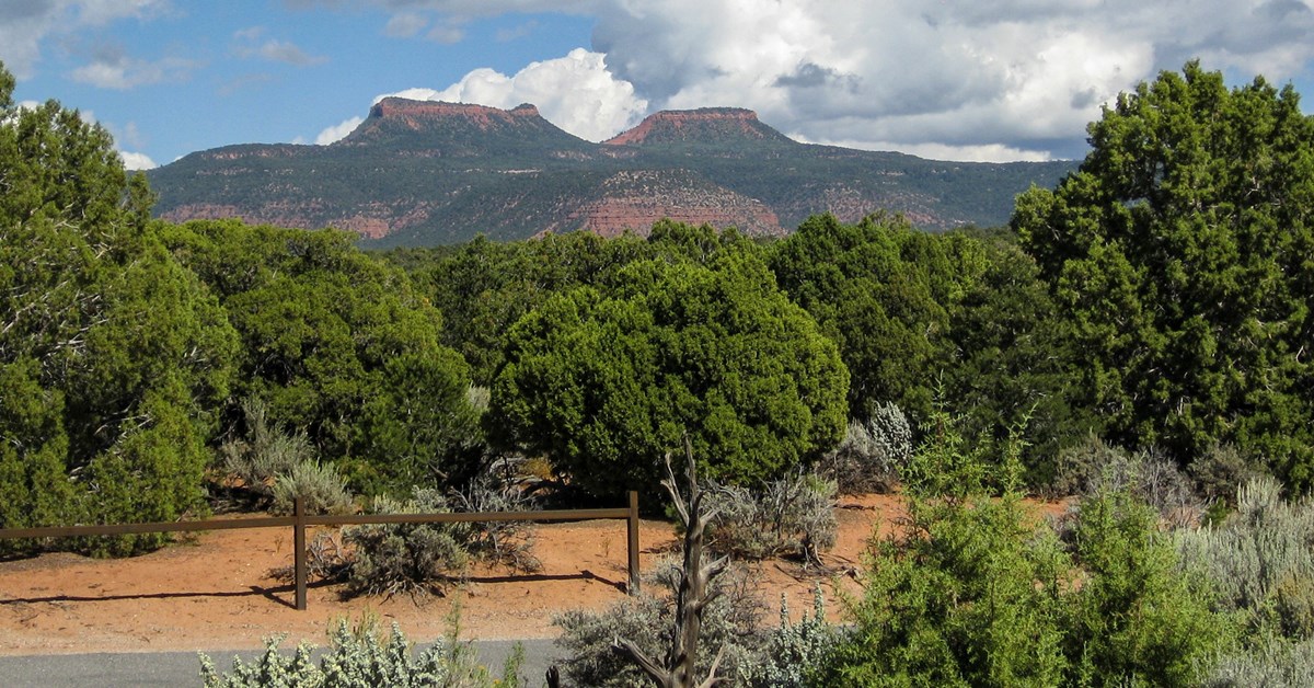 NRA Hunters' Leadership Forum | NRA, Others Protest Shooting Ban at ...