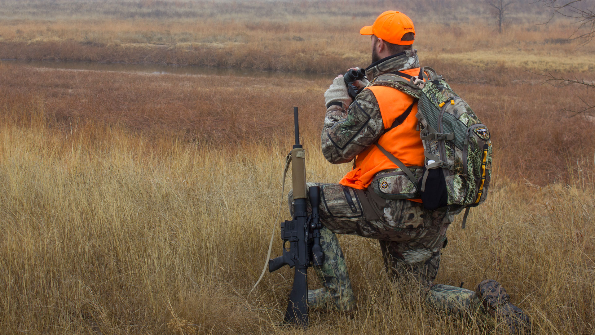 Hunting Squirrels: Which .22 is for You? | An Official Journal Of The NRA