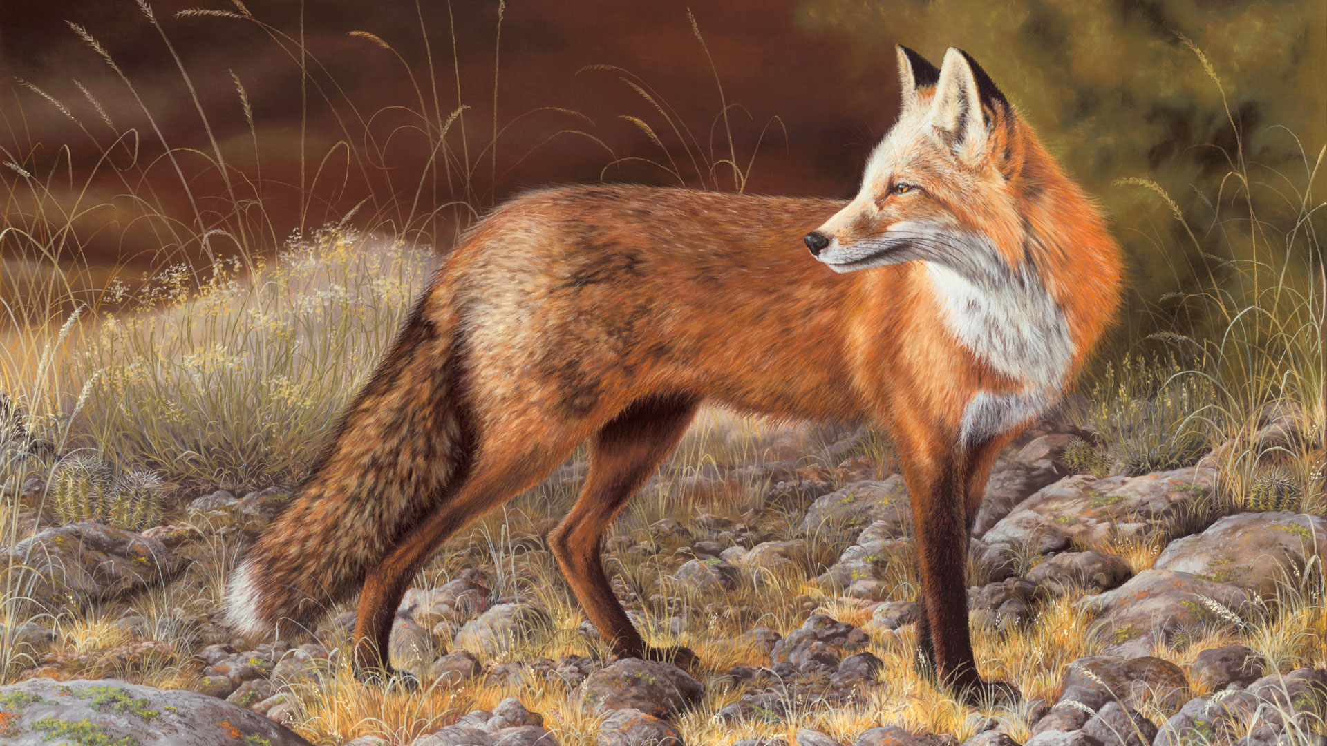 Review: DPMS GII Hunter | An Official Journal Of The NRA