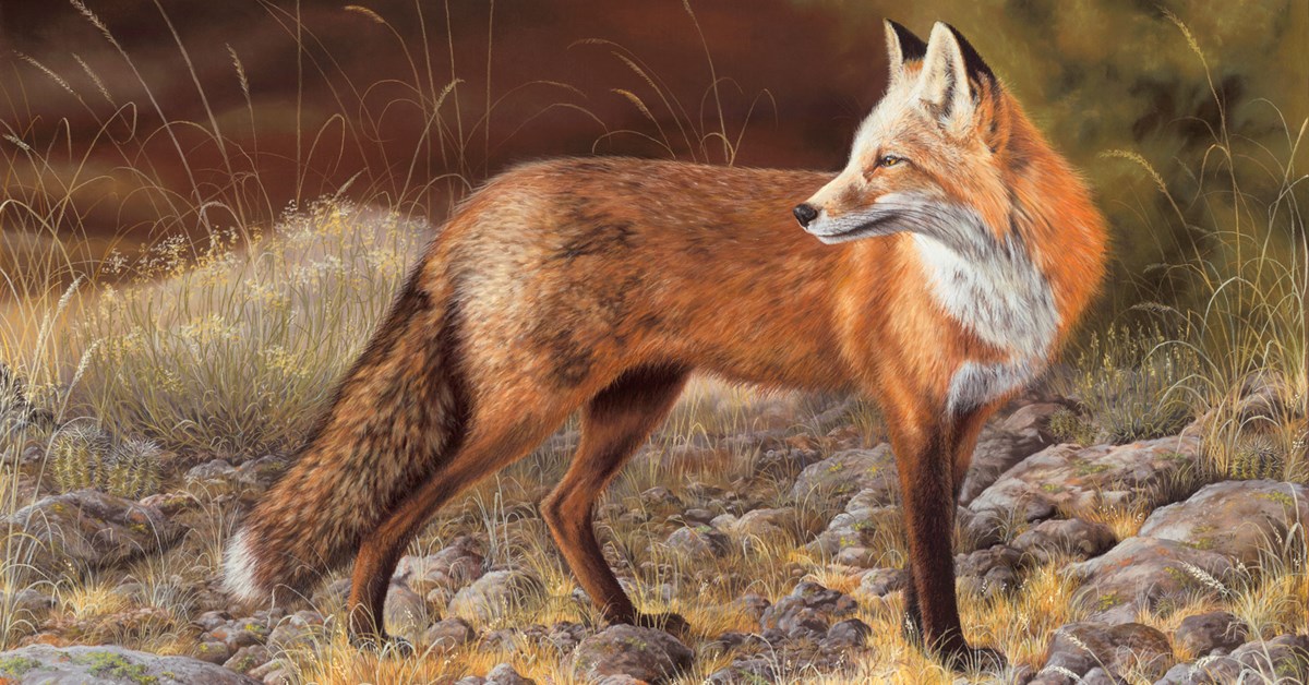 NRA Hunters' Leadership Forum | Hunter-Backed Pittman-Robertson Act ...