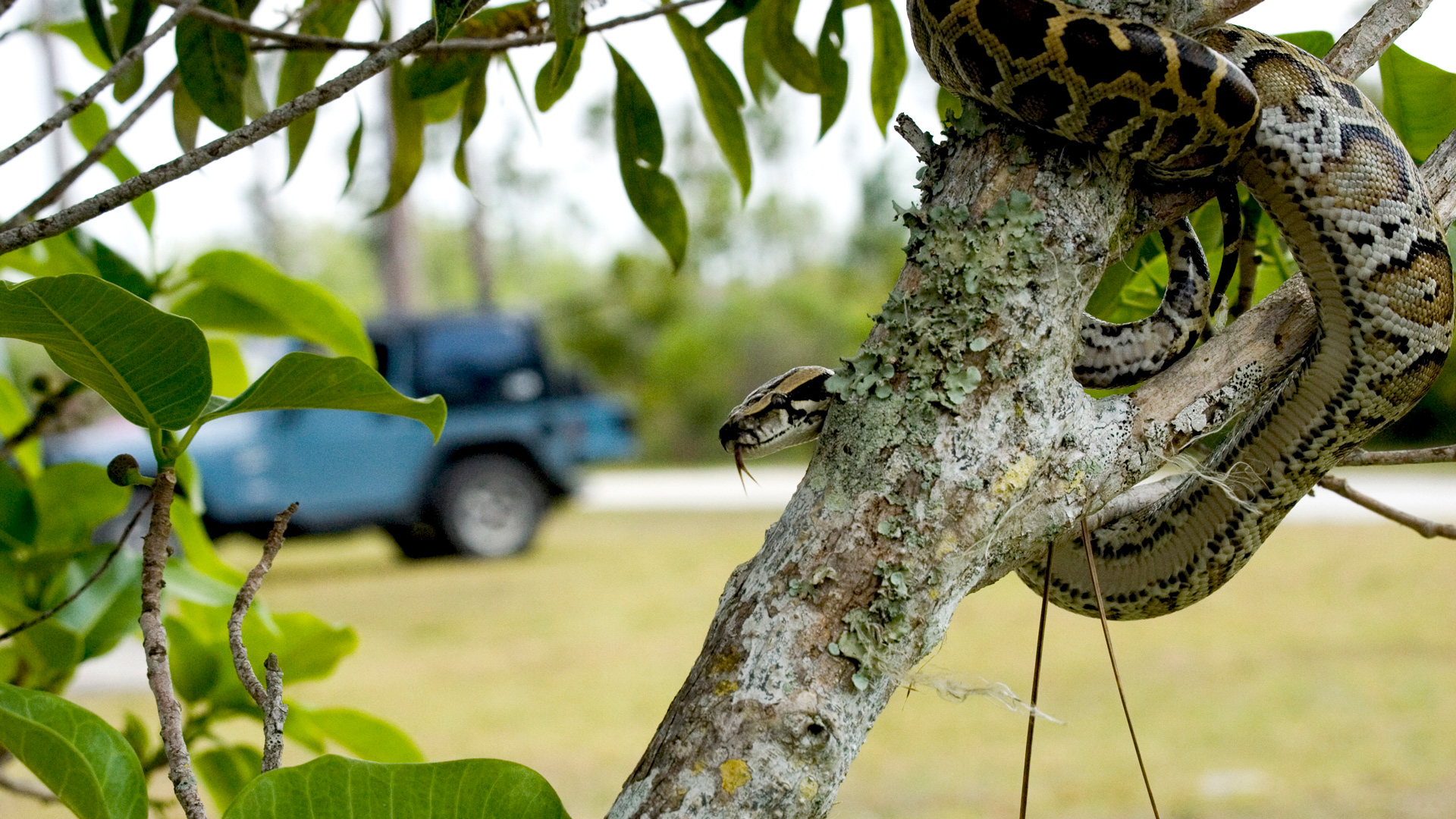 NRA Publications | National Rifle Association | NRA Publications