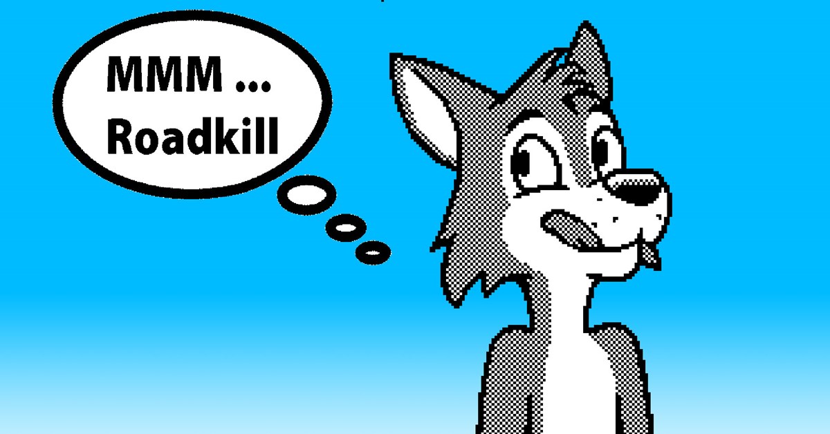 NRA Hunters' Leadership Forum | Colorado to Feed Road-Killed Wildlife ...